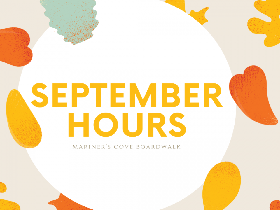 Nine Fun and Unique Things to Do at the Boardwalk - Mariner's Cove ...